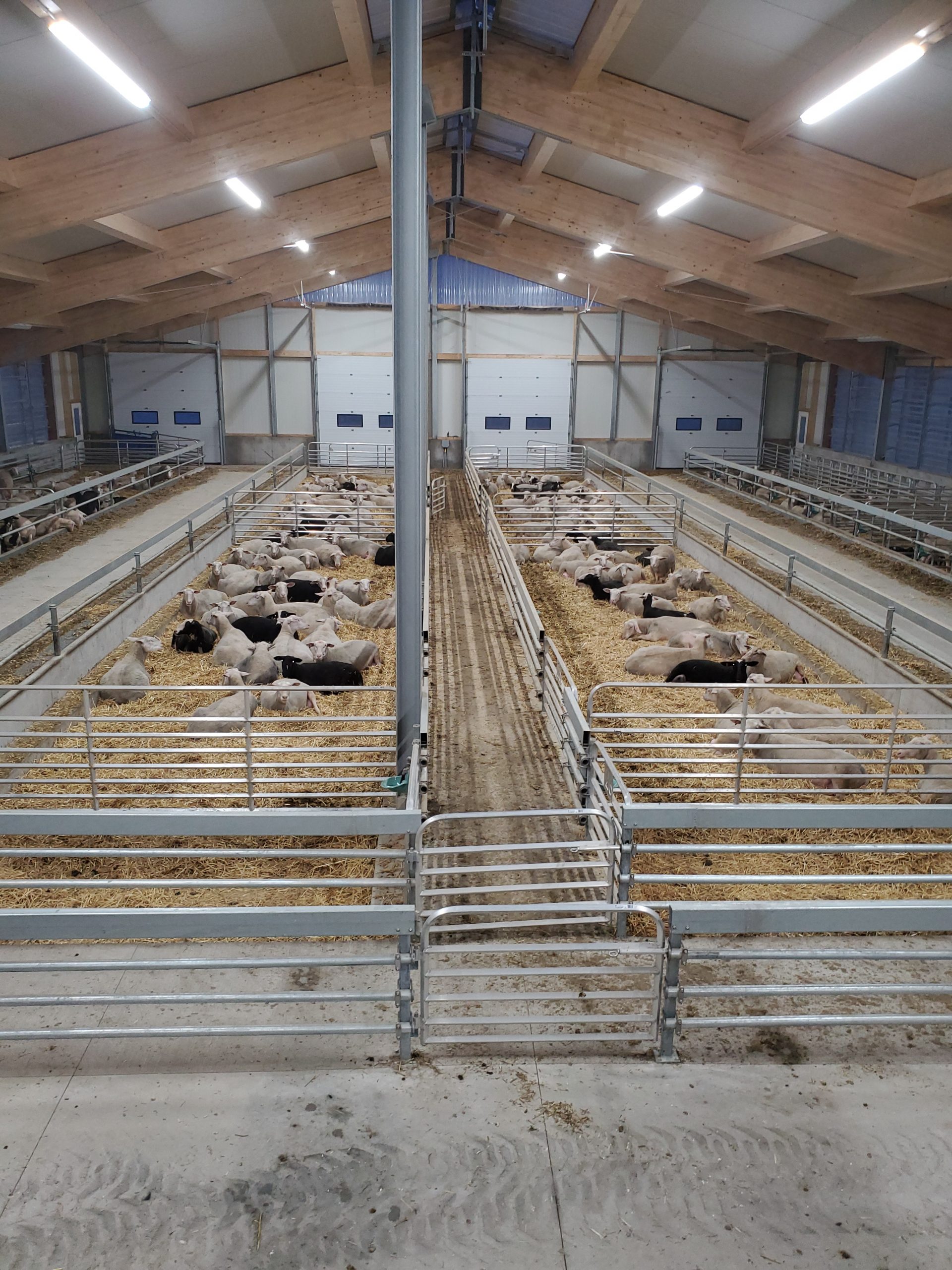 Our Members - Dairy Sheep Co-operative Inc.